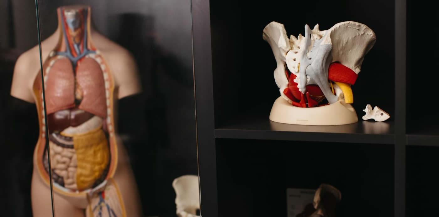 Physical Therapist Assistant Program - PTA School | ACC