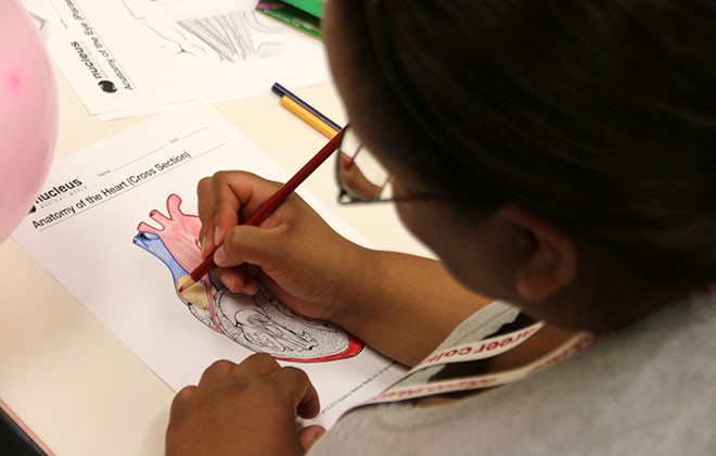 ACC-OC Library Opens Doors at New La Palma Location