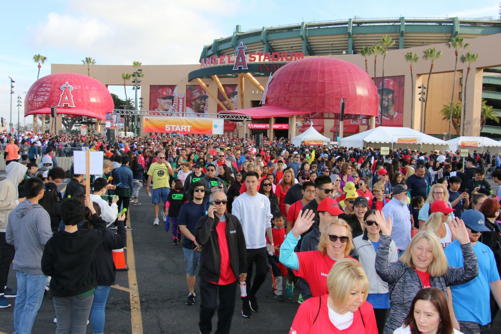 Acc Raises More Than 8 000 For 2018 Orange County Heart And Stroke Walk